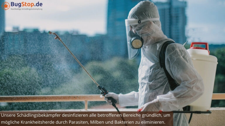 Taubenkot Entfernen Gefahrlich
